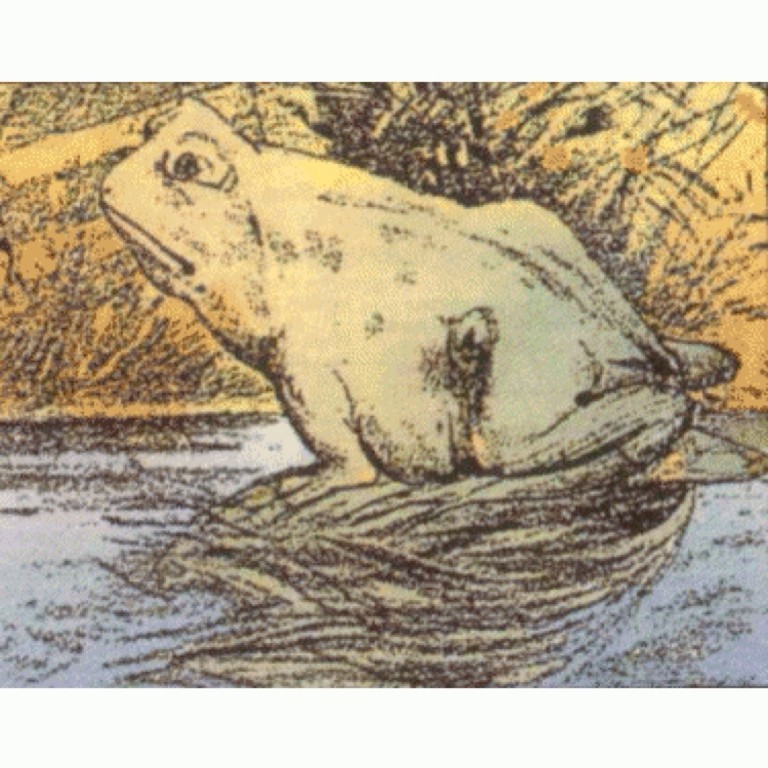 Two animals in one picture optical illusion | Puzzle Fry